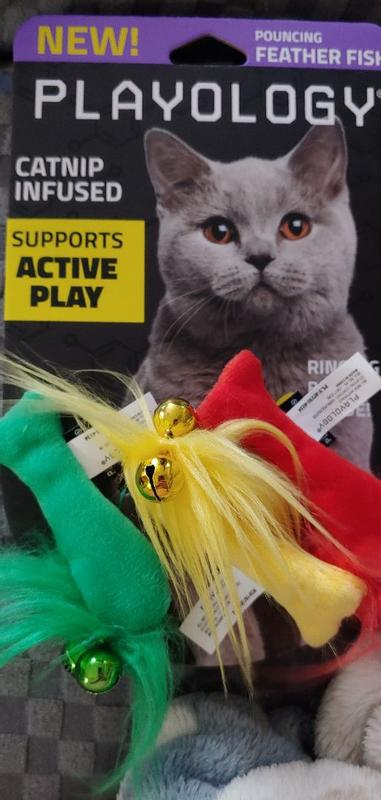 Playology Feather Fish Cat Toy, X-Small, Pack of 3 | Petco