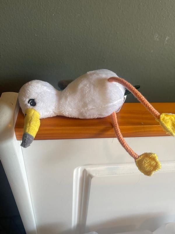 Grrreen Dangle Leg Seagull Plush Cat Toy | Petco
