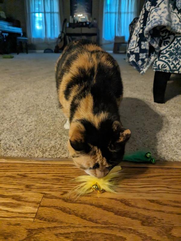 Playology Feather Fish Cat Toy, X-Small, Pack of 3 | Petco