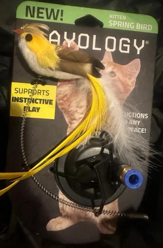 Playology Kitten Suction & Spring Bird Toy
