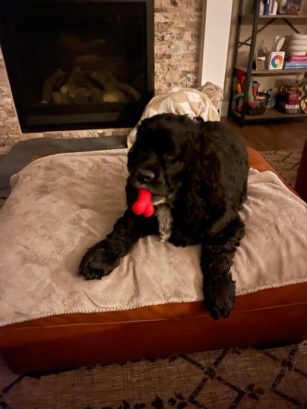 Playology Dual Layer Bone Dog Toy Beef Scent, Medium | Petco