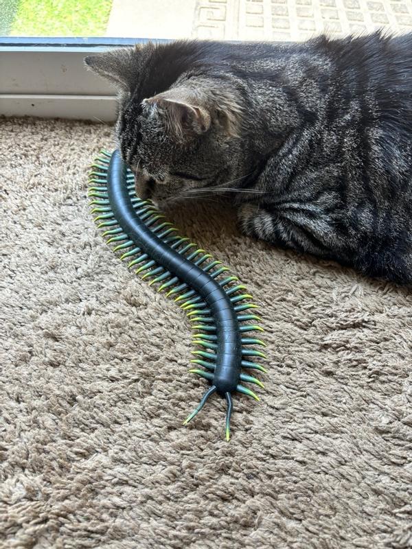 Playology Centipede Cat Toy, Small | Petco