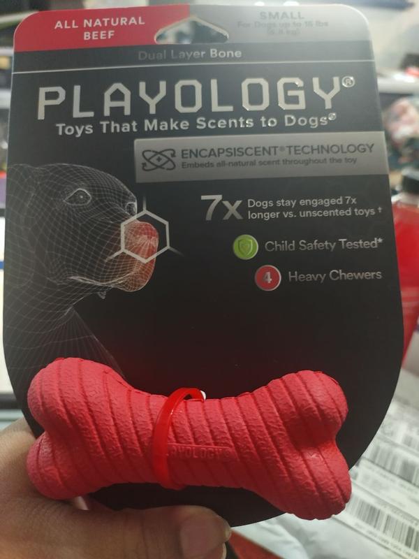 Playology Dual Layer Bone Dog Toy Beef Scent, Medium | Petco
