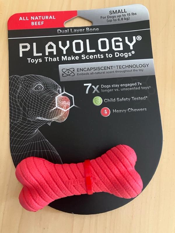 Playology Dual Layer Bone Dog Toy Beef Scent, Medium | Petco