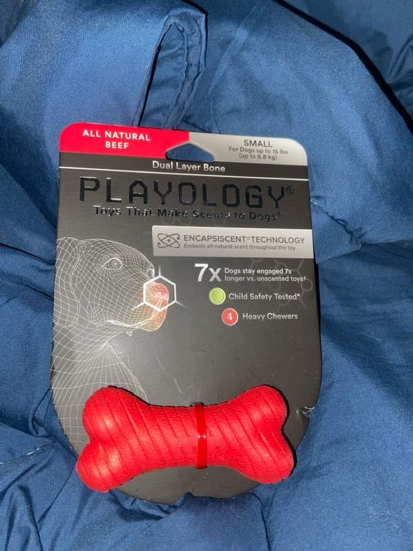Playology Dual Layer Bone Dog Toy Beef Scent, Medium | Petco