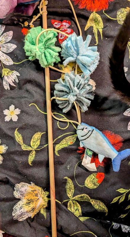 Grrreen Fish Teaser Cat Toy | Petco