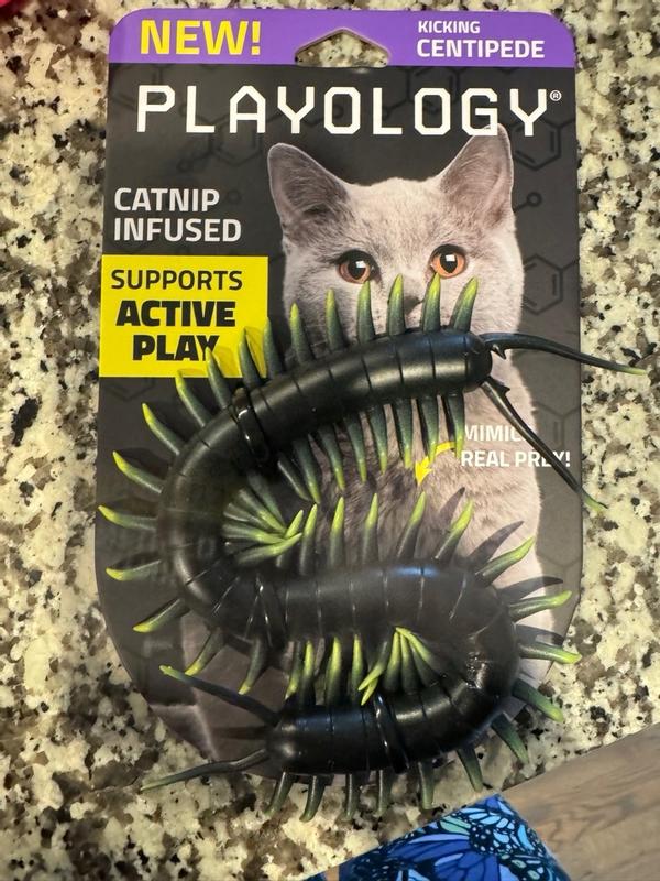 Playology Catnip-Infused Crawfish Cat Toy 2-Pack