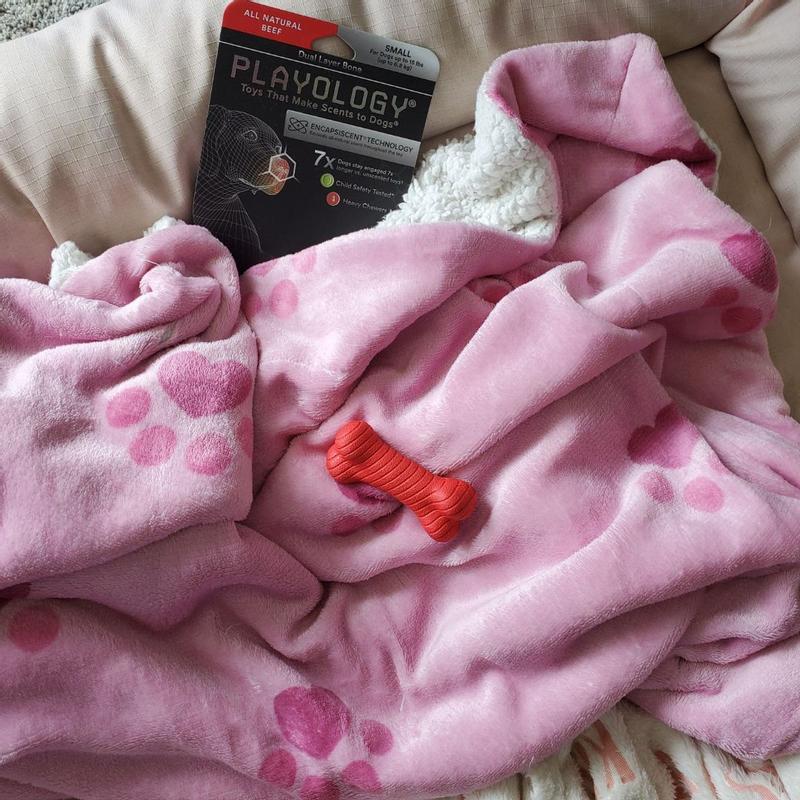 Playology Dual Layer Bone Dog Toy Peanut Butter Scent, Medium | Petco