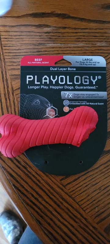 Playology Dual Layer Bone Dog Toy Peanut Butter Scent, Small | Petco