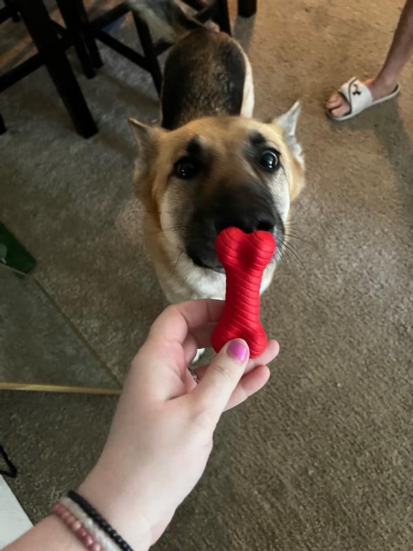 Playology Dual Layer Bone Dog Toy Peanut Butter Scent, Medium | Petco