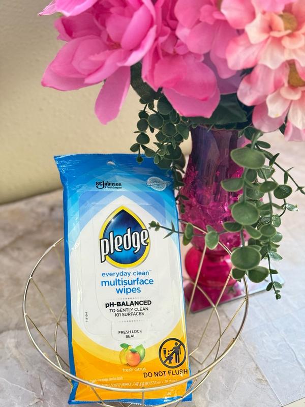Pledge 25-Count Citrus Wipes All-Purpose Cleaner 336274 at Lowes.com