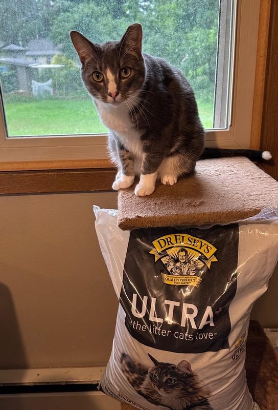 Dr. Elsey's Ultra+ Cat Litter 40 lbs: Odor Control & Clumping