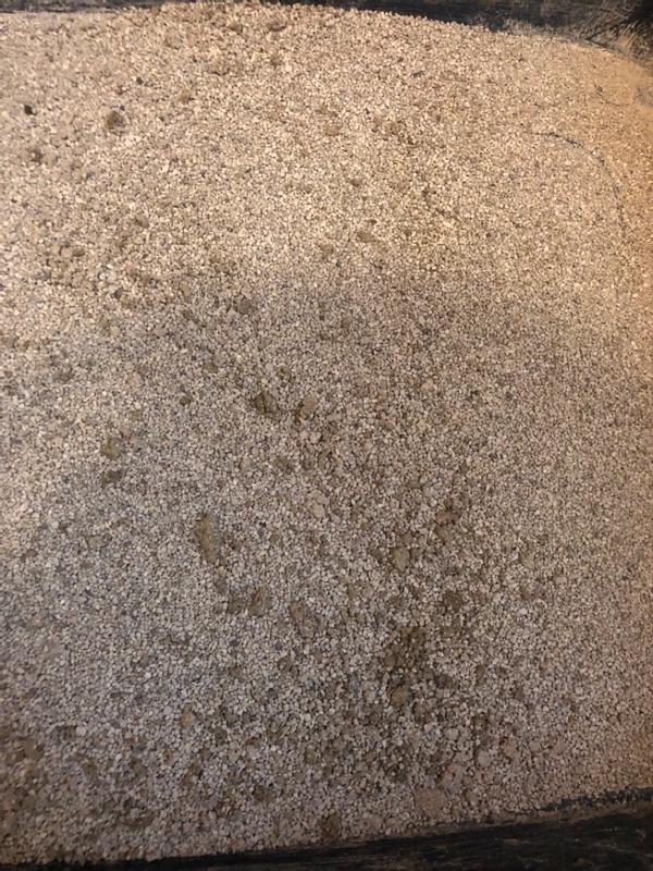 Dr. Elsey's Precious Cat Unscented Ultra+ Cat Litter, 40 lbs. | Petco