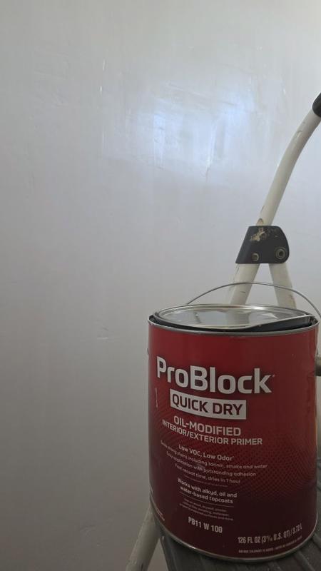 ProBlock Quick Dry Interior High hiding Oil-based Wall and Ceiling ...