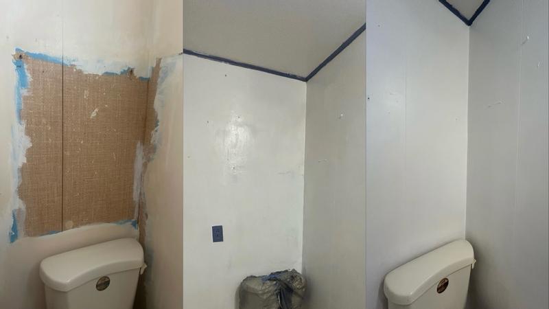 ProBlock Quick Dry Interior/Exterior High hiding Water-based Wall and ...