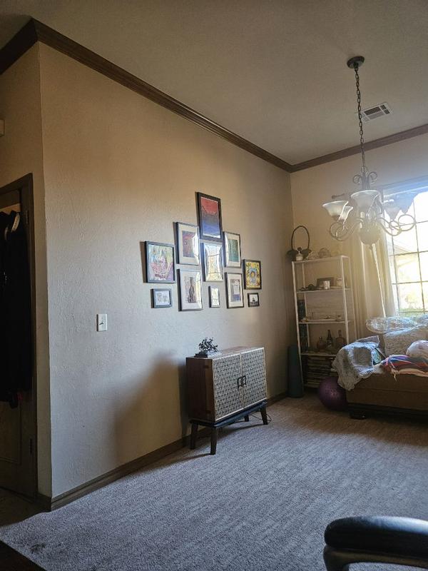 ProBlock Quick Dry Interior High hiding Oil-based Wall and Ceiling ...