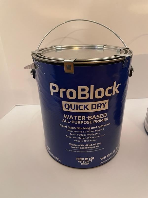 ProBlock Quick Dry Interior/Exterior High hiding Water-based Wall and ...