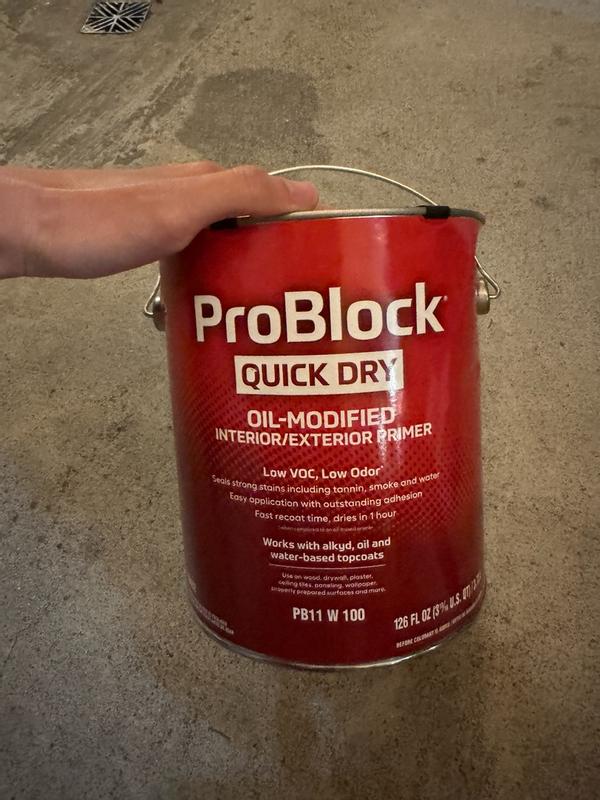 ProBlock Quick Dry Interior High hiding Oil-based Wall and Ceiling ...