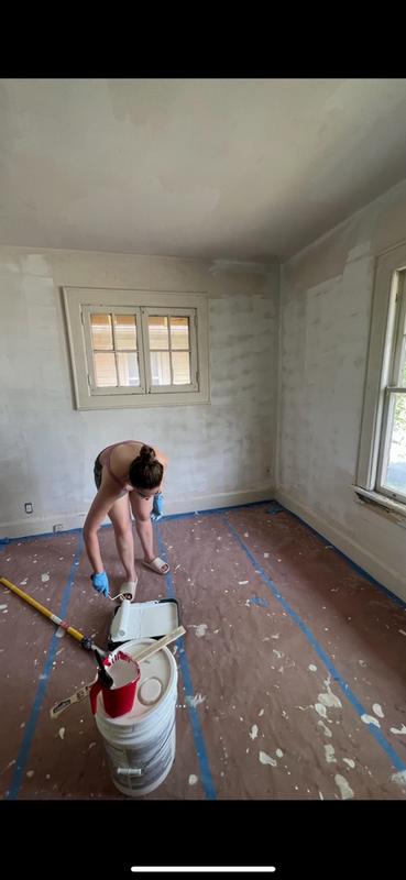 ProBlock Quick Dry Interior High hiding Oil-based Wall and Ceiling ...