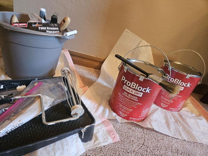 ProBlock Quick Dry Interior High hiding Oil-based Wall and Ceiling ...