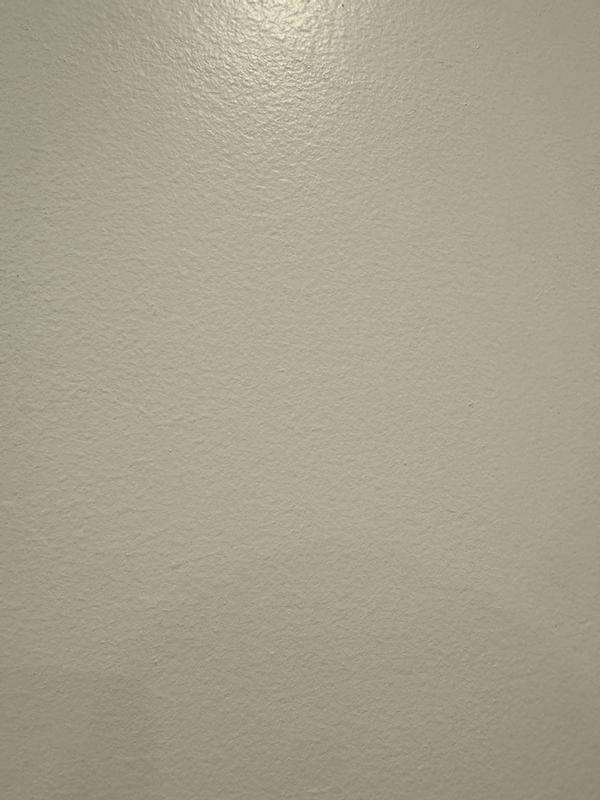 ProBlock Quick Dry Interior High hiding Oil-based Wall and Ceiling ...