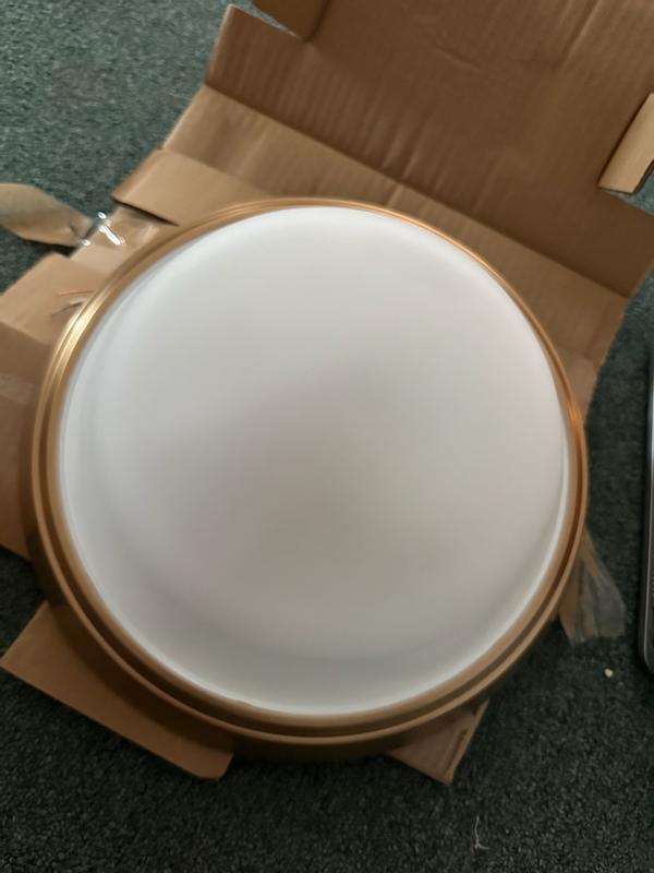 Progress Lighting Edessa 12-in Champagne Bronze Indoor 2 -Light Flush ...