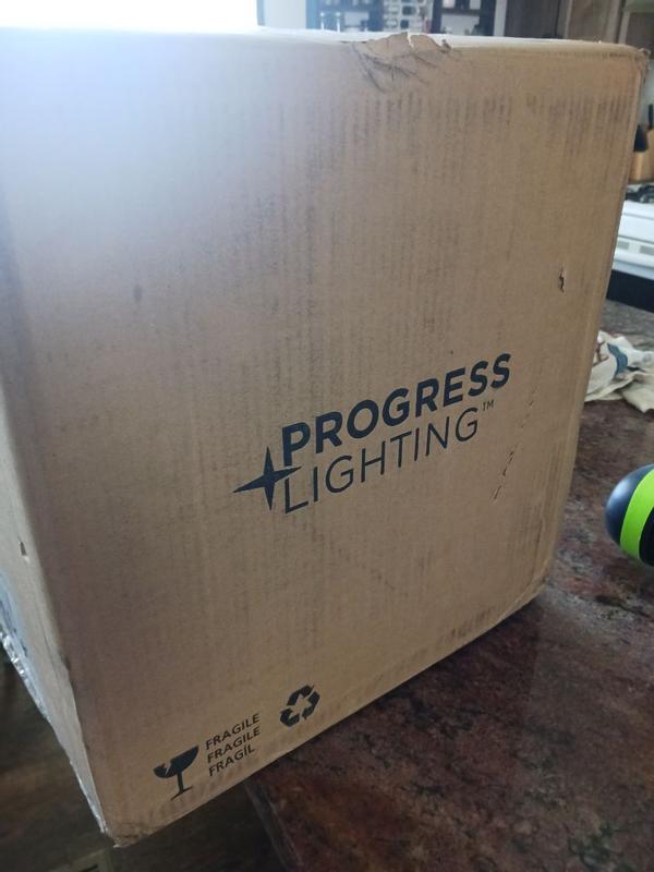 Progress Lighting Alisse 1 -Light Brushed Gold Industrial White glass ...