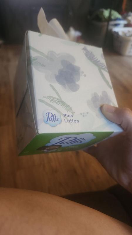 Shop Puffs Cold & Flu Prep Cleaning Case Pack at Lowes.com