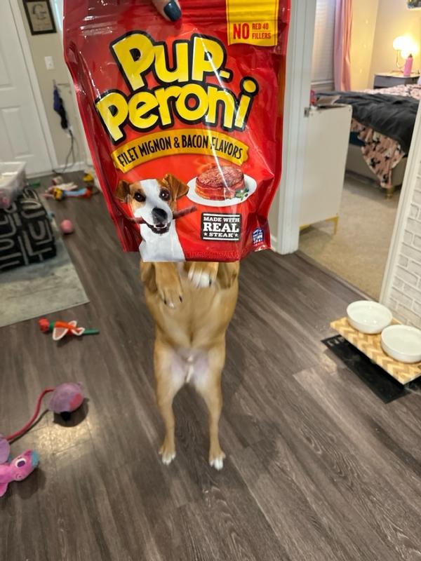Pup-Peroni Filet Mignon & Bacon Flavor Dog Treats, 22.5 oz. | Petco