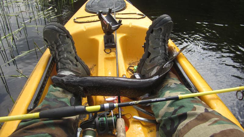 Mitchell 300 Pro Spinning Fishing Reel, Advanced Polymeric Body ...