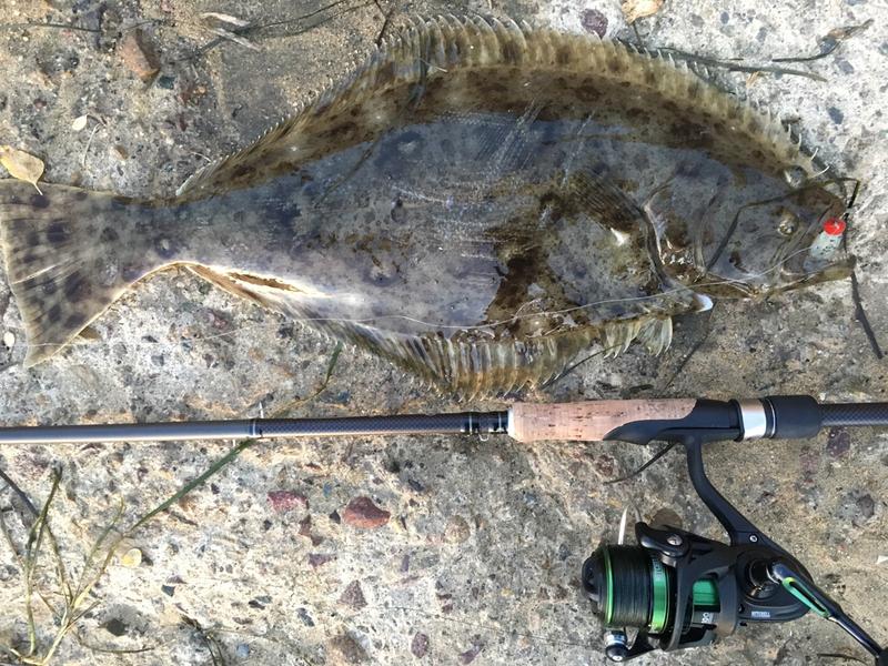 Mitchell 300 Pro Spinning Fishing Reel, Advanced Polymeric Body ...