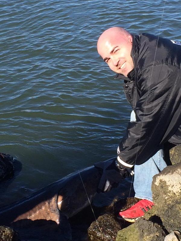 Shakespeare 8-ft Downrigging Fishing Rod | Canadian Tire