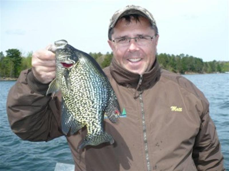 Leurre méné pour pêche blanche Berkley PowerBait Power Minnow, 3 po ...