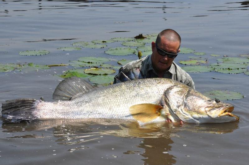 Trilene Big Game Fishing Line : Berkley Trilene Big Game Monofilament ...