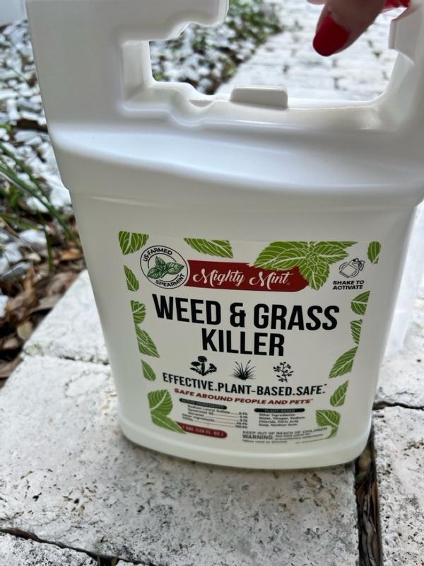 Mighty Mint Weed and Grass Killer 128-fl oz Organic Natural Trigger ...