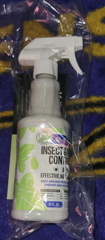 Mighty Mint 15-oz Insect Peppermint Natural Home Pest Control Trigger ...