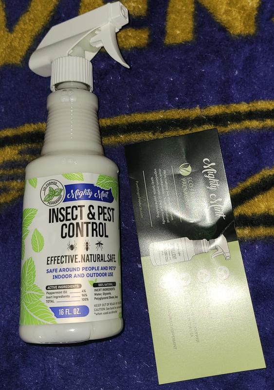 Mighty Mint 15-oz Insect Peppermint Natural Home Pest Control Trigger ...