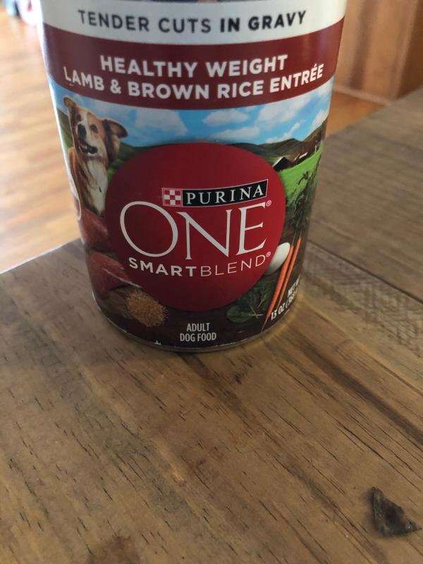 Purina ONE Plus Tender Cuts in Gravy Healthy Weight Lamb and Brown Rice ...