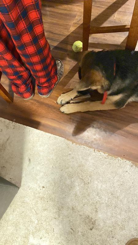 Busy Bone Beggin' Twist'd Small/Medium Breed Dog Treats, Count of 10 ...