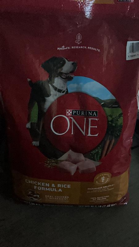 Purina ONE Chicken and Rice Formula Dry Dog Food, 31.1 lbs. | Petco