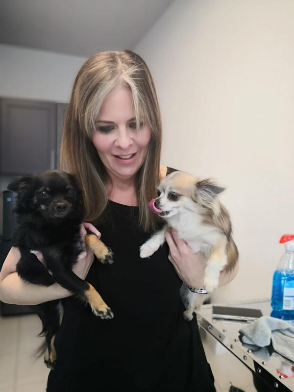 Busy Bone Small Mini Breed Dog Bones, Count of 12 | Petco