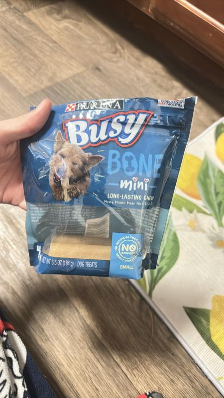 Busy Bone Small Mini Breed Dog Bones, Count of 12 | Petco