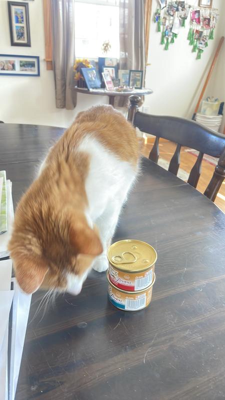 Fancy Feast Gravy Lovers Poultry & Beef Cat Food, 30 ct