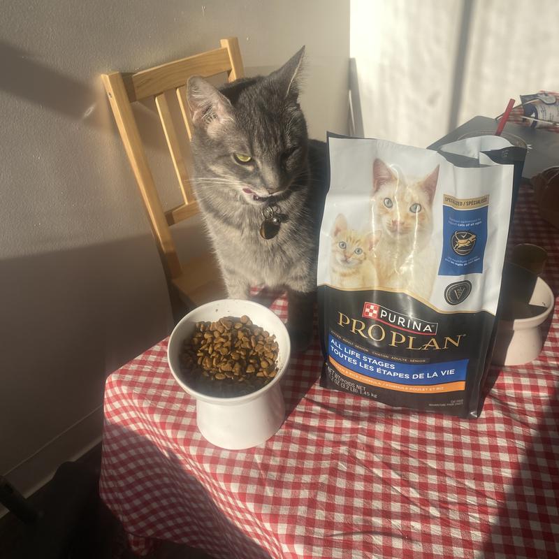 Purina Pro Plan All Life Stages Chicken and Rice Dry Kibble High ...