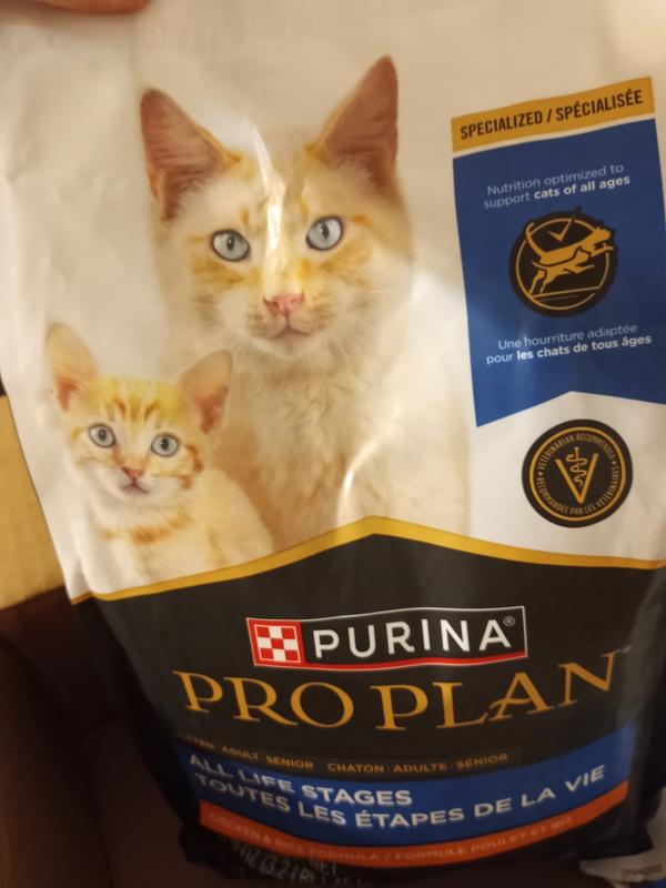 Purina Pro Plan All Life Stages Chicken and Rice Dry Kibble High ...