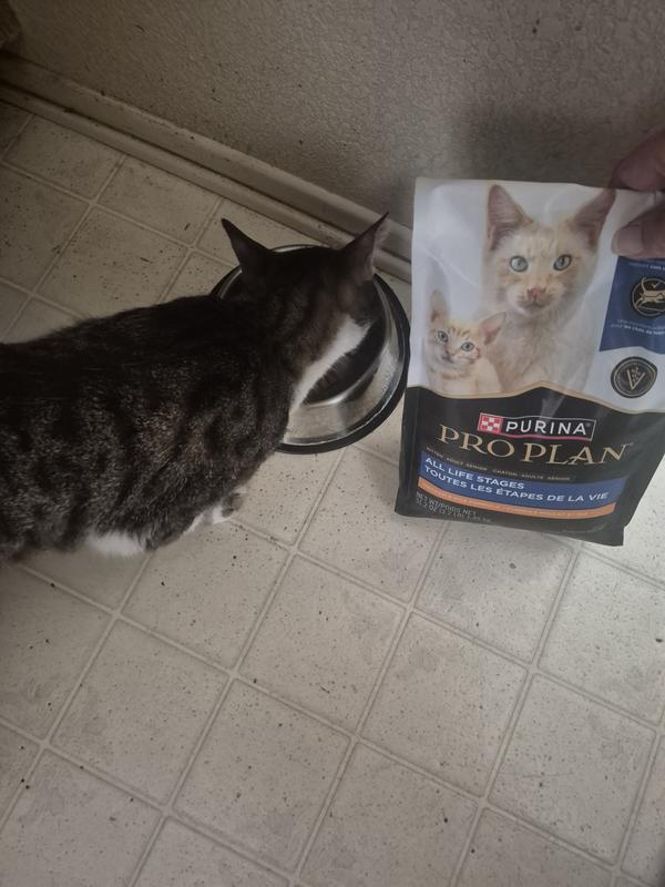 Purina Pro Plan All Life Stages Chicken and Rice Dry Kibble High ...