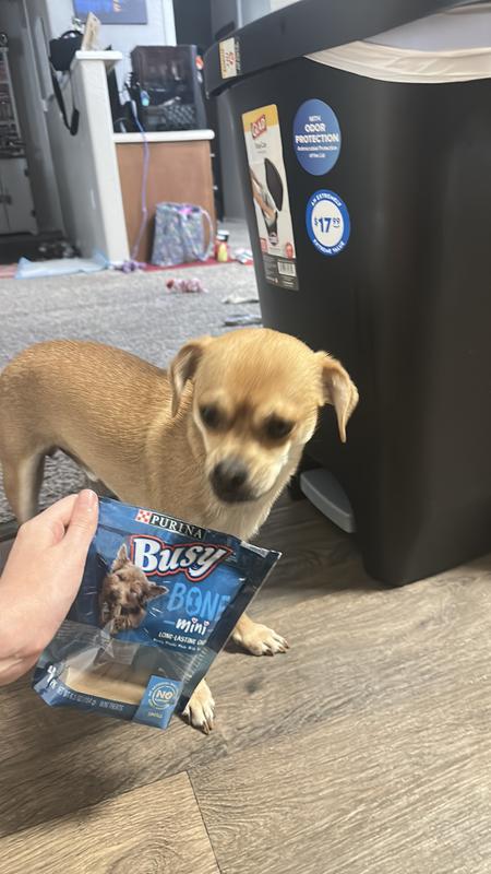 Busy Bone Small Mini Breed Dog Bones, Count of 12 | Petco