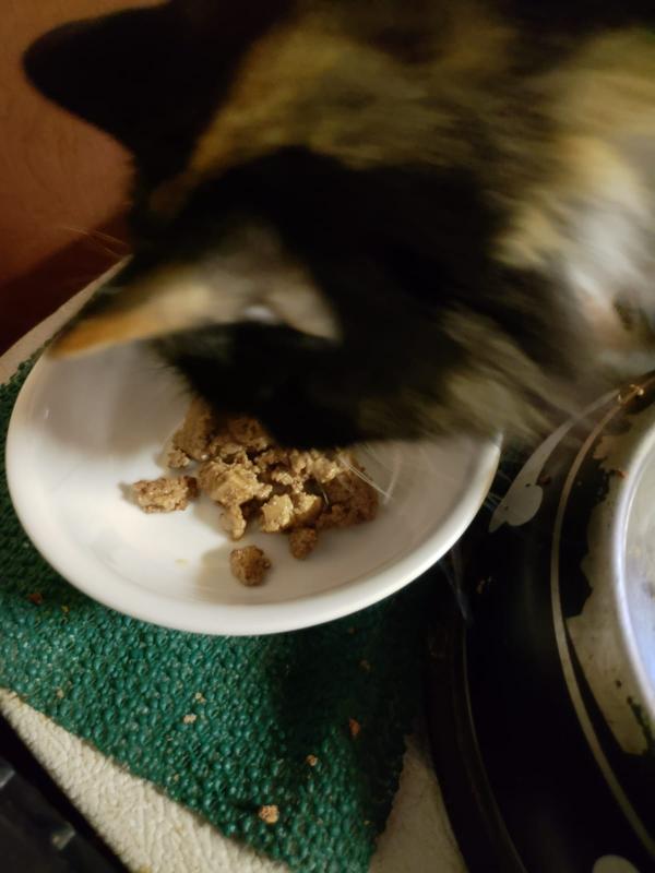 Purina Pro Plan COMPLETE ESSENTIALS High Protein Classic Chunky Chicken ...