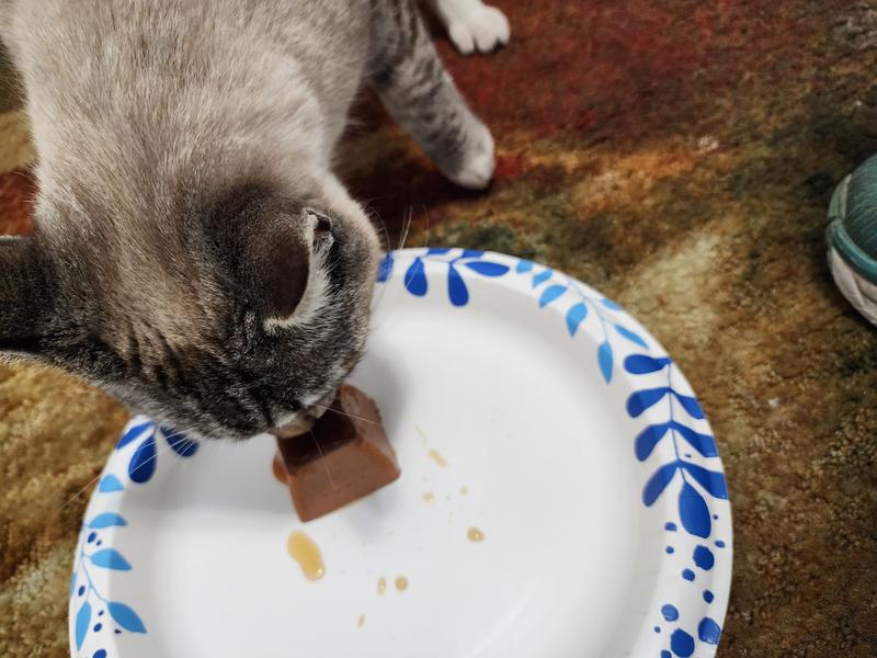 Fancy Feast Gems Mousse Pate With Chicken and Halo of Savory Gravy Wet ...