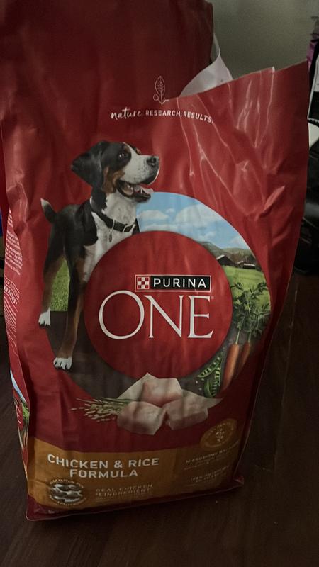 Purina ONE Chicken and Rice Formula Dry Dog Food, 31.1 lbs. | Petco